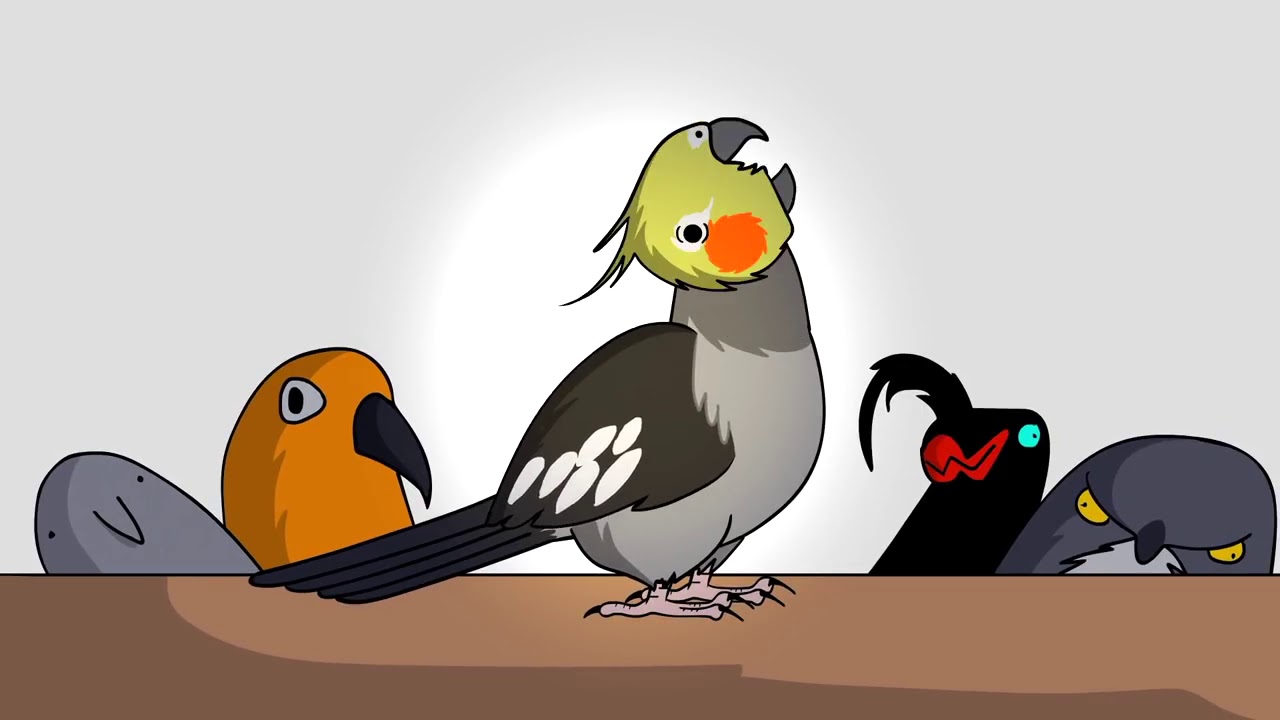 Bird sings a tune ANIMATION [MEME] - YouTube