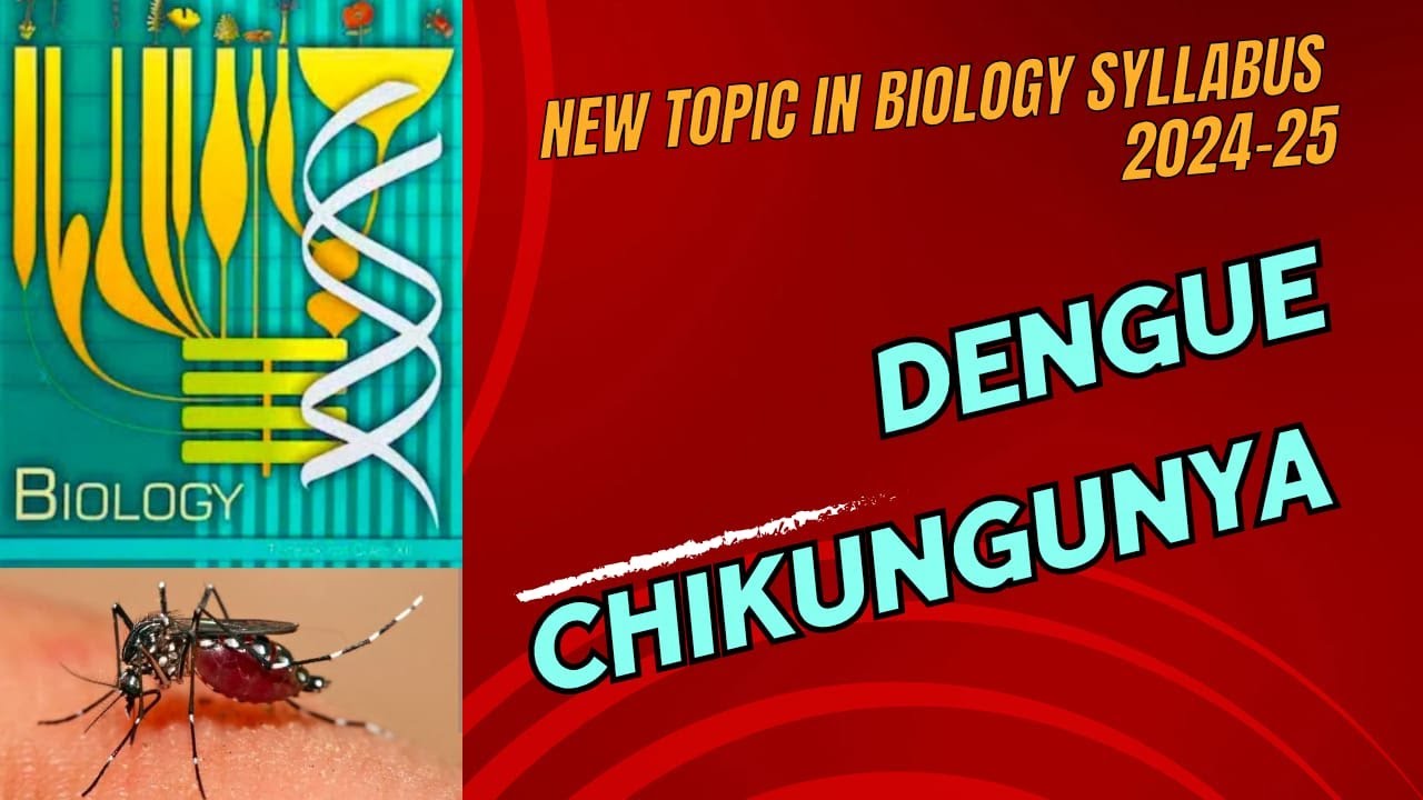 Dengue Chikungunya/new topic XII biology syllabus 2024-25 - YouTube