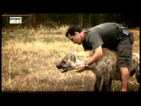 Der Löwenmann   Kevin Richardson Dokumentation