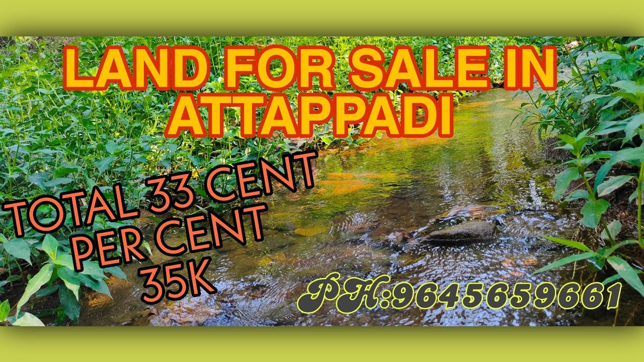 33 CENT STREEM SIDE PER CENT 35K - YouTube