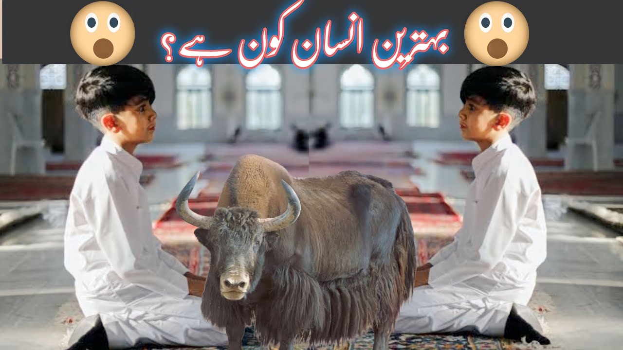 Behtarin insan kaun hai😍👌 Islamic video🕋 | Secret Creator - YouTube