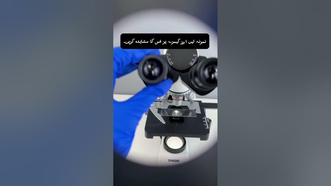 Bacteria Information Scienceexperiment Scienceinformation Subscribenow Youtube