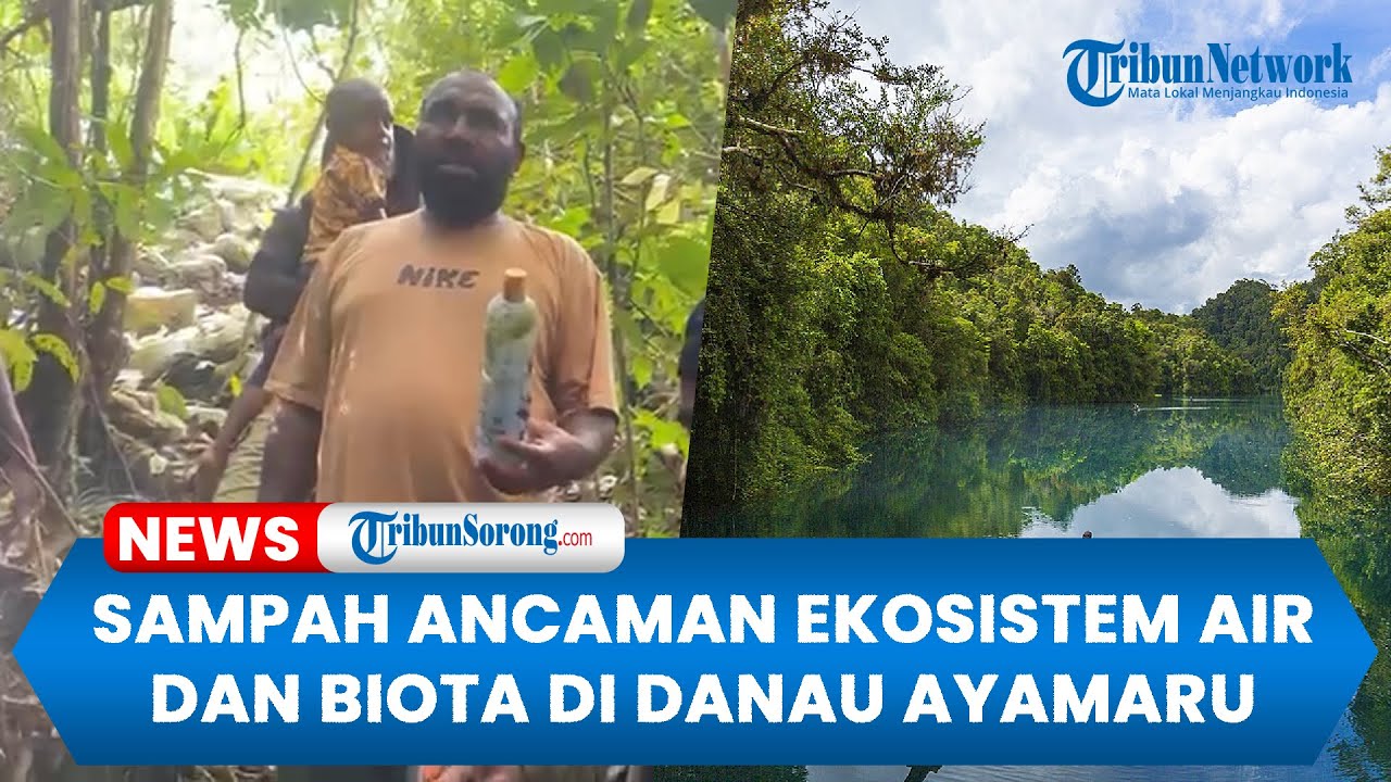 Danau Ayamaru Maybrat Tercemar Sampah, Aktivis: Kita Sendiri yang ...