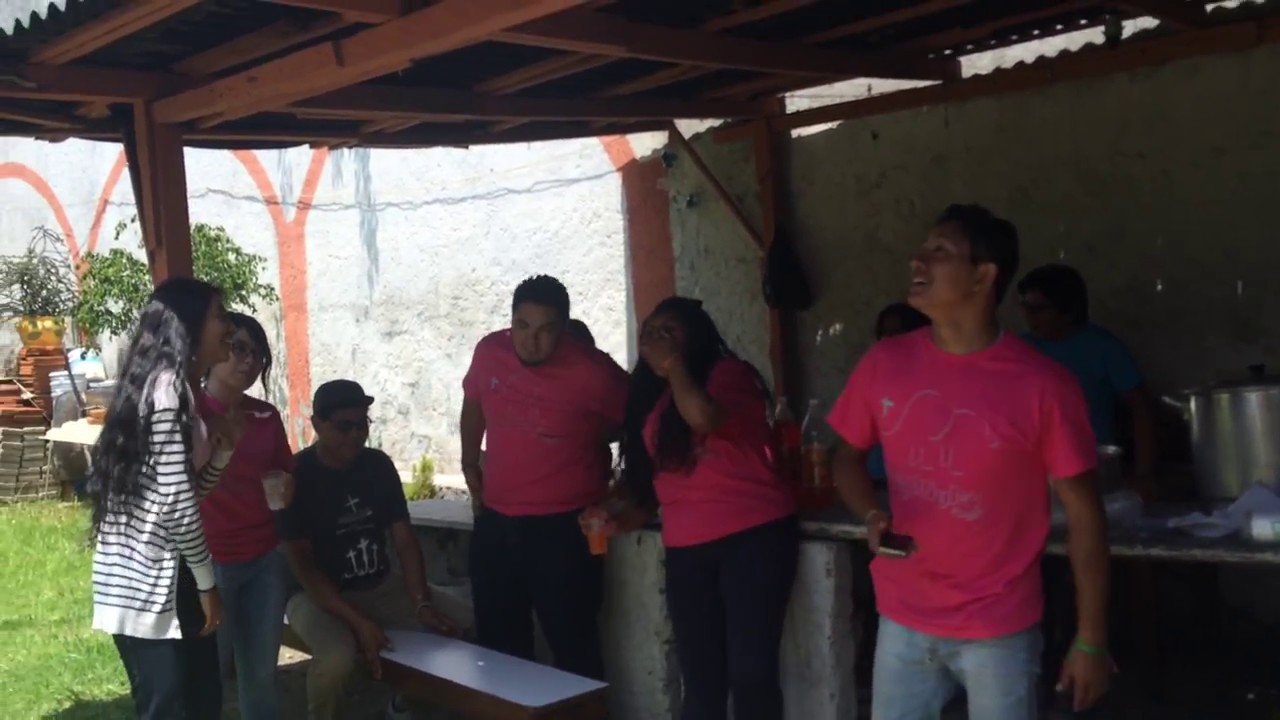 El oso carpintero - YouTube