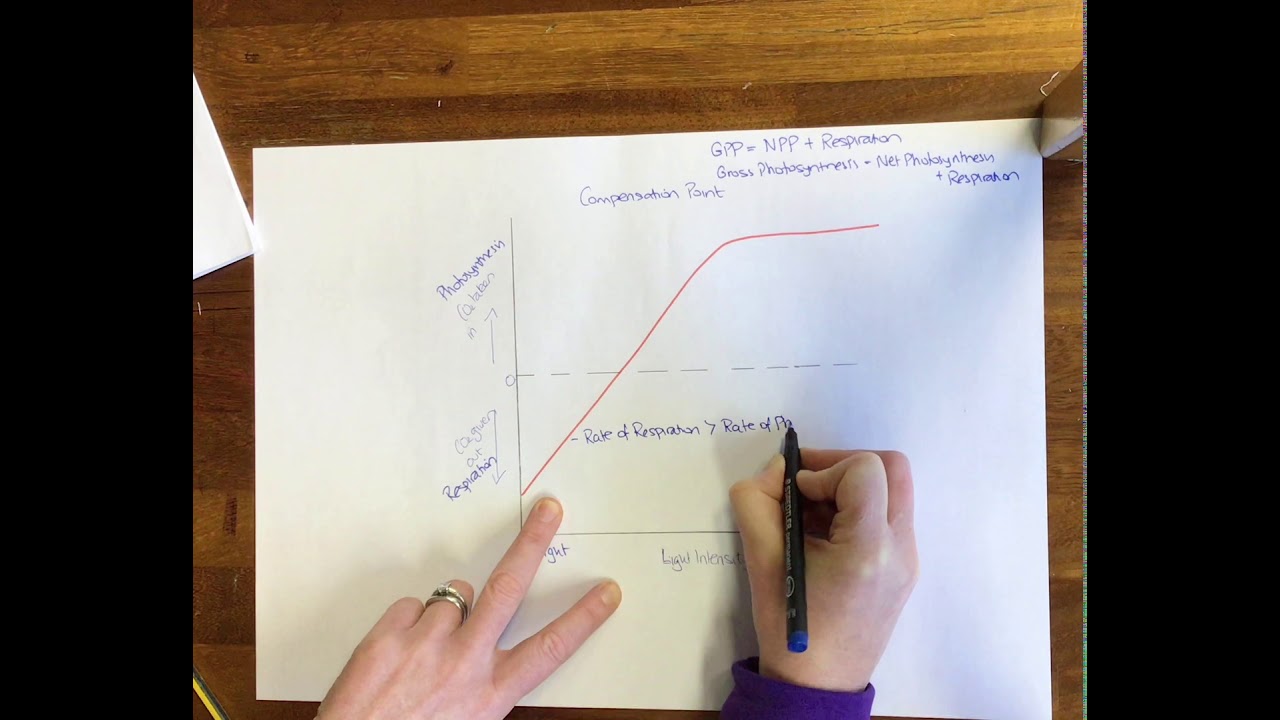 Compensation Point - YouTube