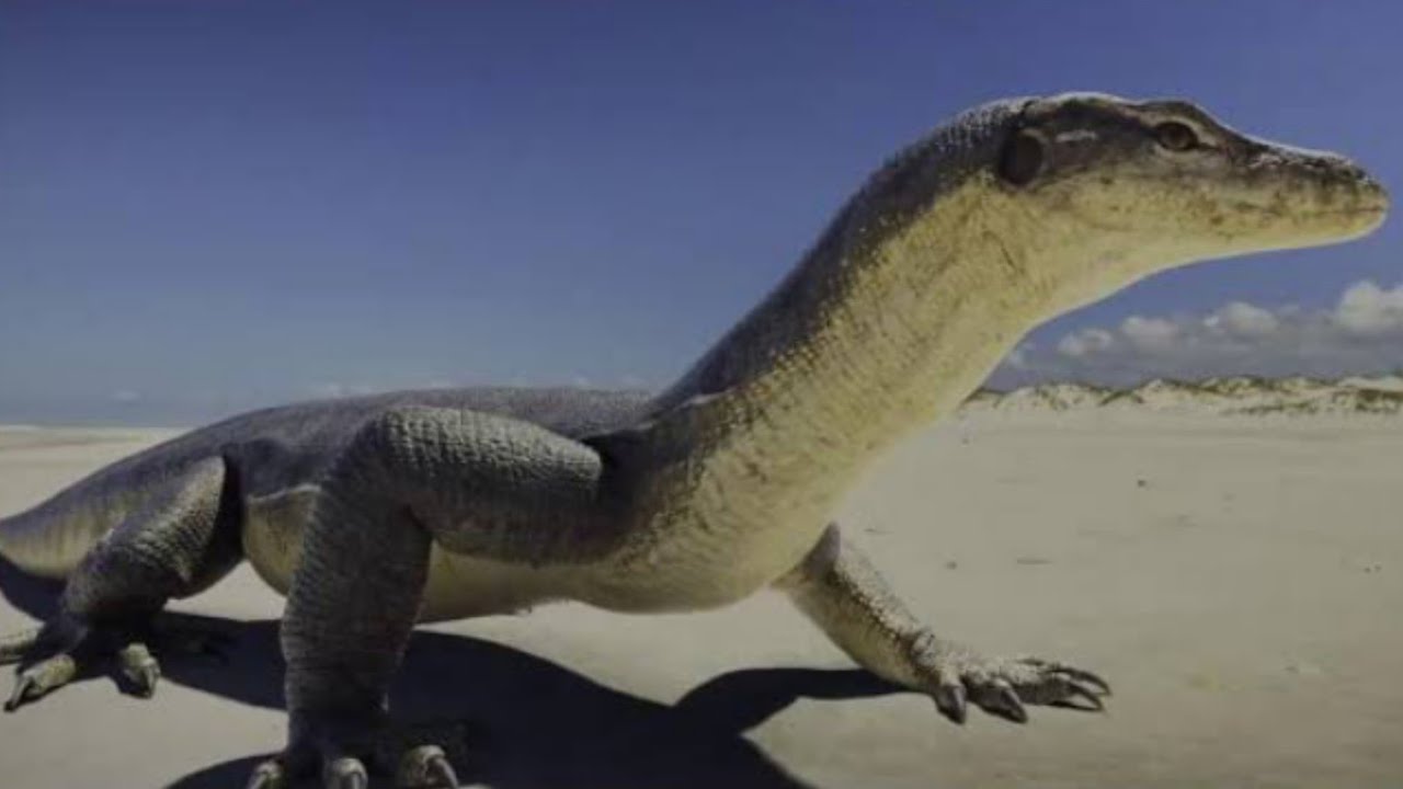 Amazing Dinoworld [2019] - Protomosasaurus Screen Time - YouTube