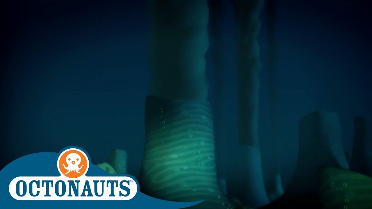 Octonauts - Entering the Twilight Zone | Cartoons for Kids - YouTube