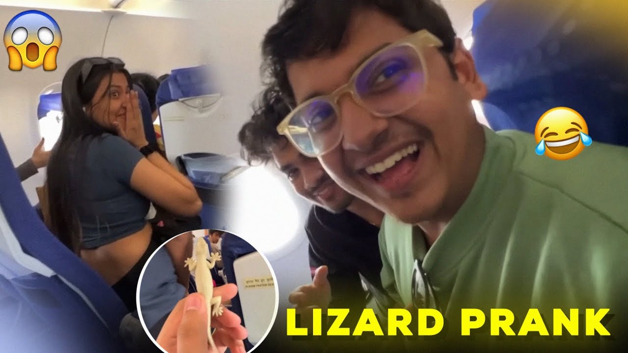 Did Lizard Prank In Flight 🦎 *SHE SCREAMED* 🤣 - YouTube