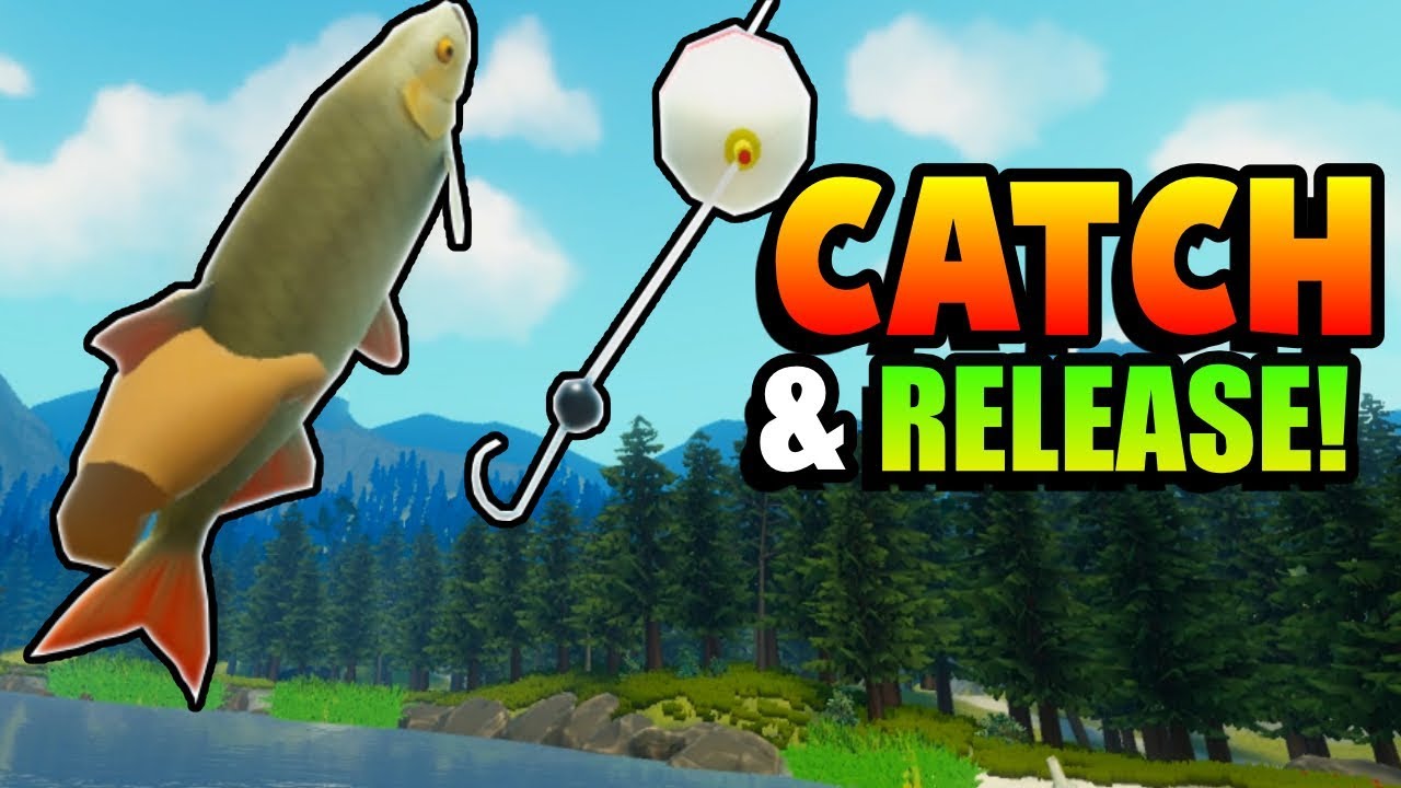 Catching Fish Using CHEESE?! (Catch & Release Gameplay - VR HTC Vive ...