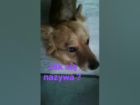łatfe - YouTube