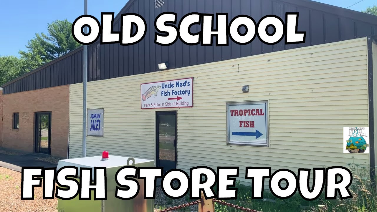 OLD SCHOOL Local Fish Store Tour Uncle Neds Fish Factory - YouTube