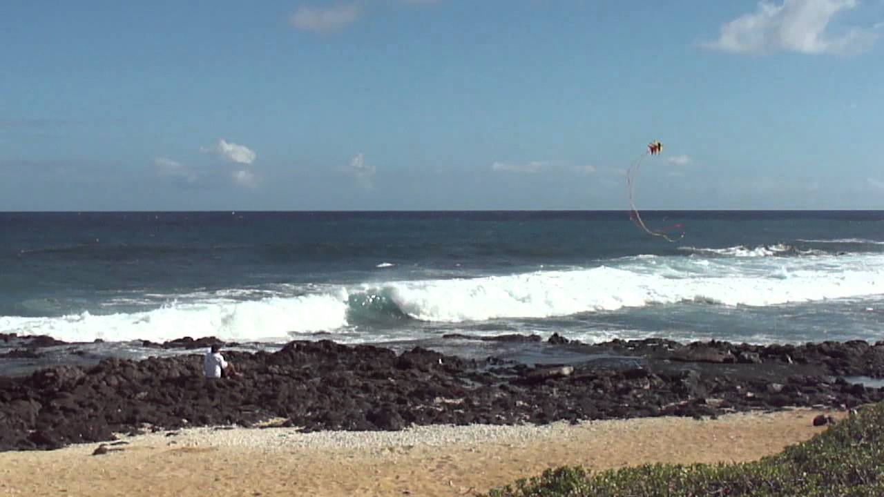 dual line stunt kite extreme stack stunt kite flying at sandy beach ...