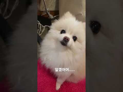 250420 zico instagram story