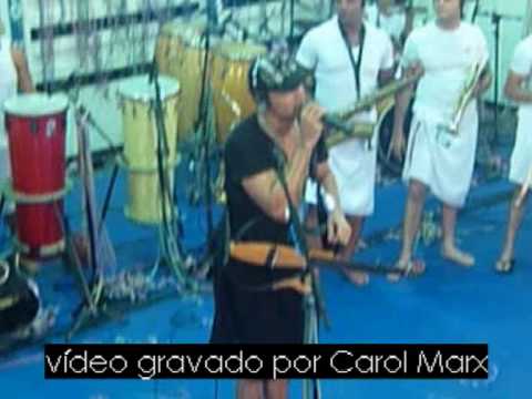 Mania de Toalha - \