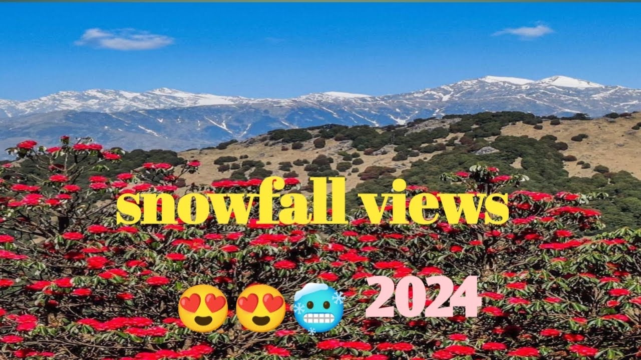 snowfall near me|snowfall today | snowfall in mussourie| winter line ...