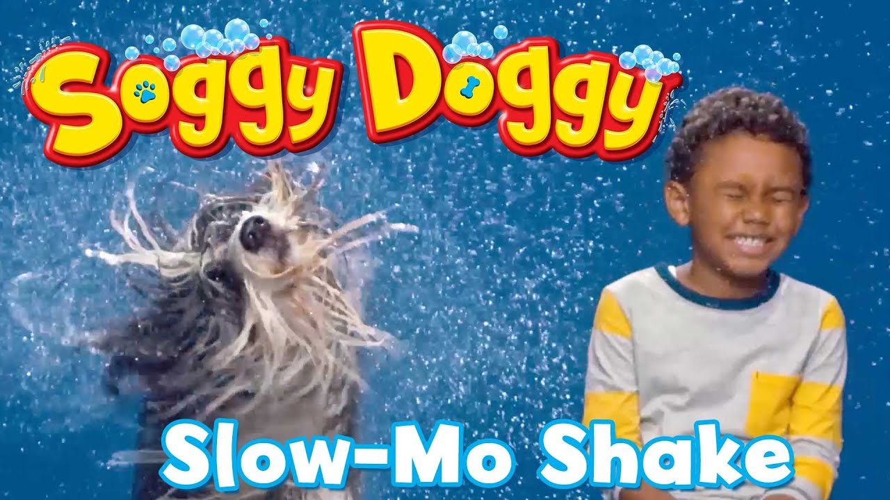 Soggy Doggy - Soggy Doggies Shake In Slow Mo! (extended cut) - YouTube