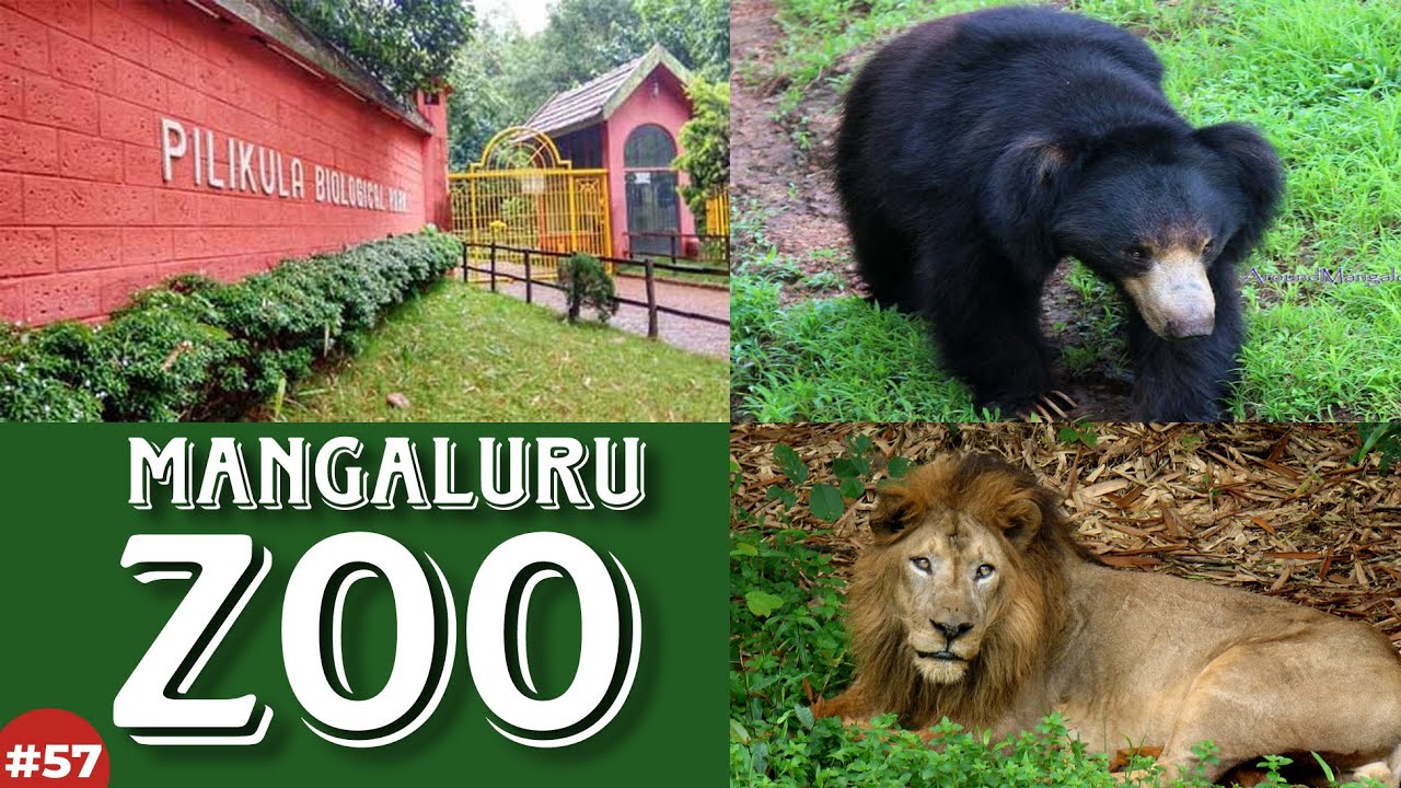 Zoo Mangalore | Pilikula Biological Park | Pilikula Zoo | Pilikula Park ...