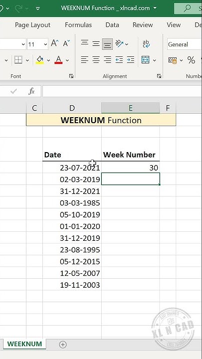 WEEKNUM Function in Excel - YouTube
