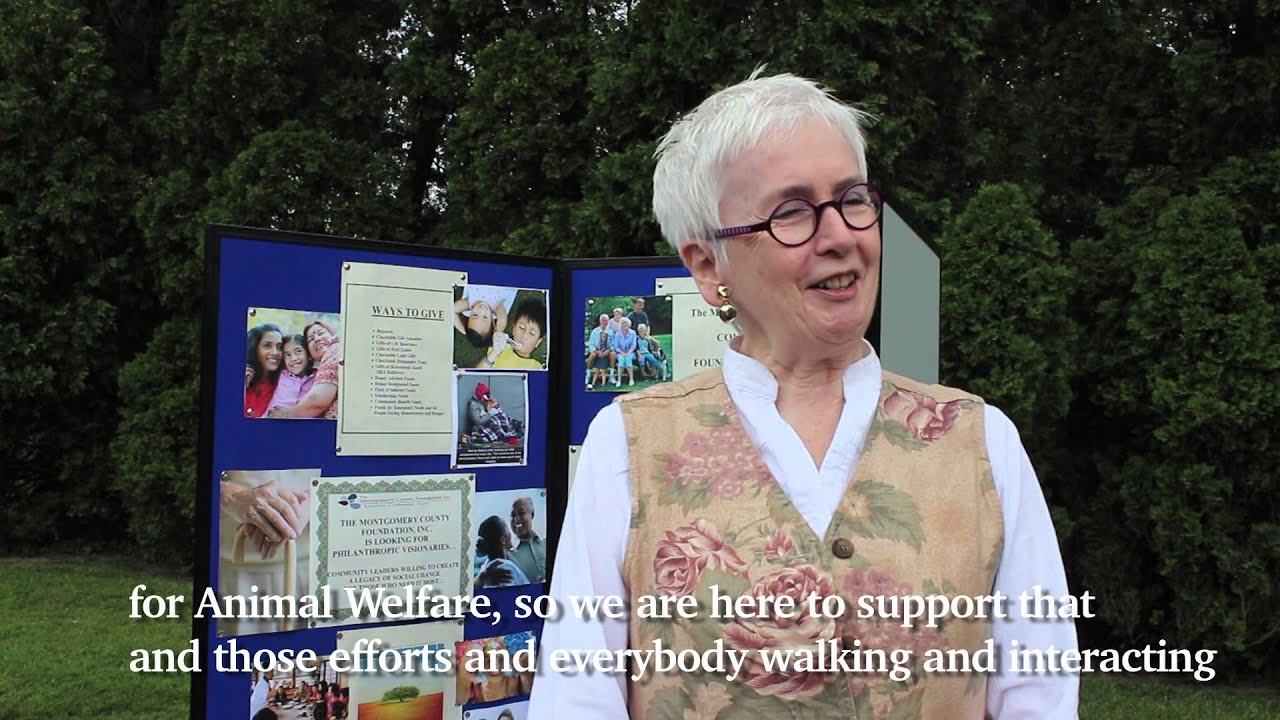 Interview with Virginia Frantz - YouTube