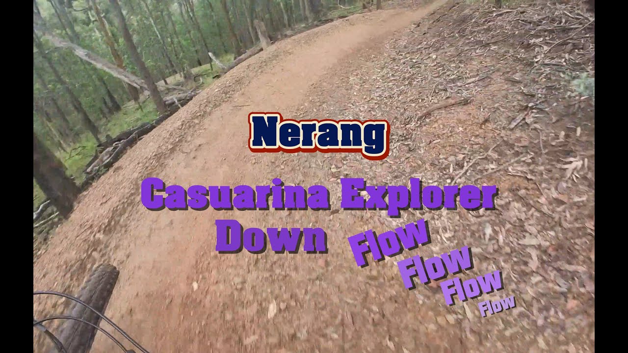 Casuarina Explorer Long Loop Down at Nerang MTB Trail #22 - YouTube