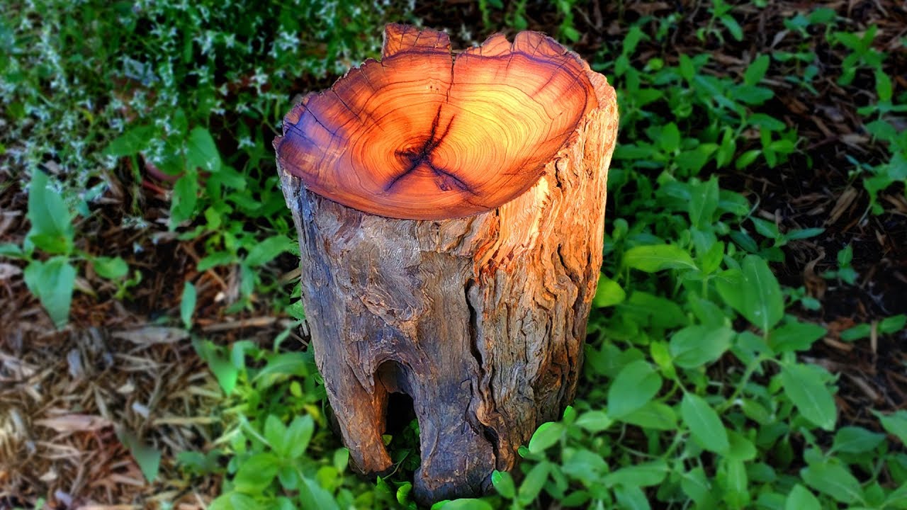 Tree Trunk Bowl - YouTube