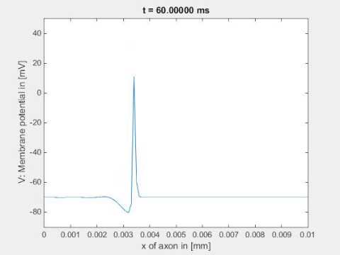 Multicompartment model of neuron in Matlab - YouTube