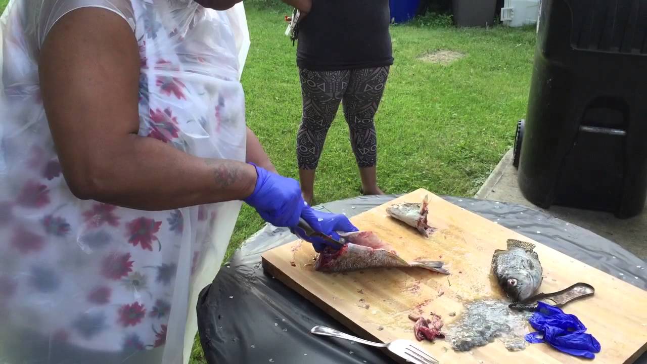 Mississppi women cleaning fish (Gibson) - YouTube