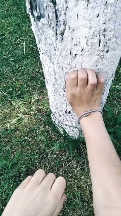 прогулочка квадробика спорт Youtube