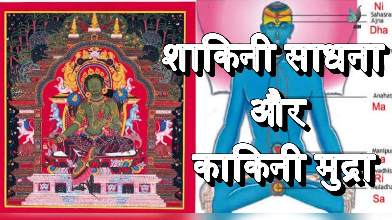 Shakini Sadhna और Kakini Mudra की सिद्धि |Yoga की सिद्धि|SHAKINI YOGINI ...