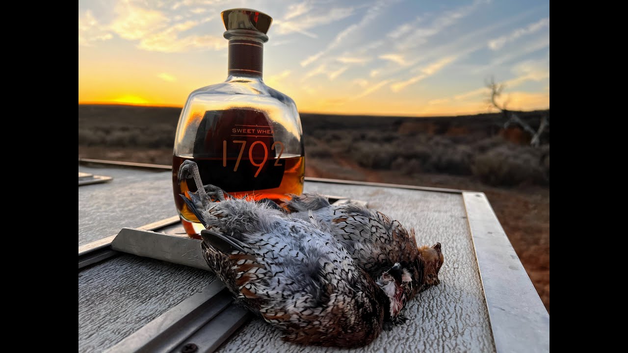 Wolfpack Coveys | Oklahoma Quail Hunting - YouTube
