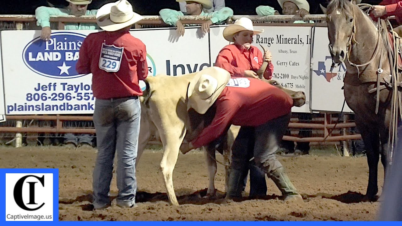Wild Cow Milking - 2021 Motley / Dickens Old Settlers Rodeo | Saturday ...