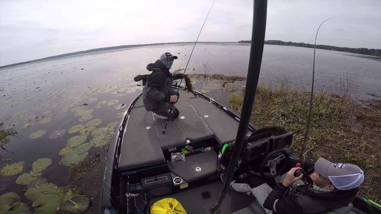 Big Weighted Swamp Donkeys - YouTube