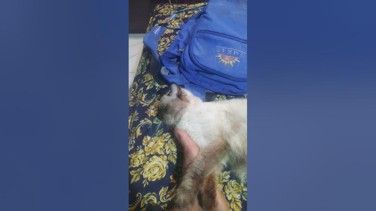 24 September 2024 - YouTube