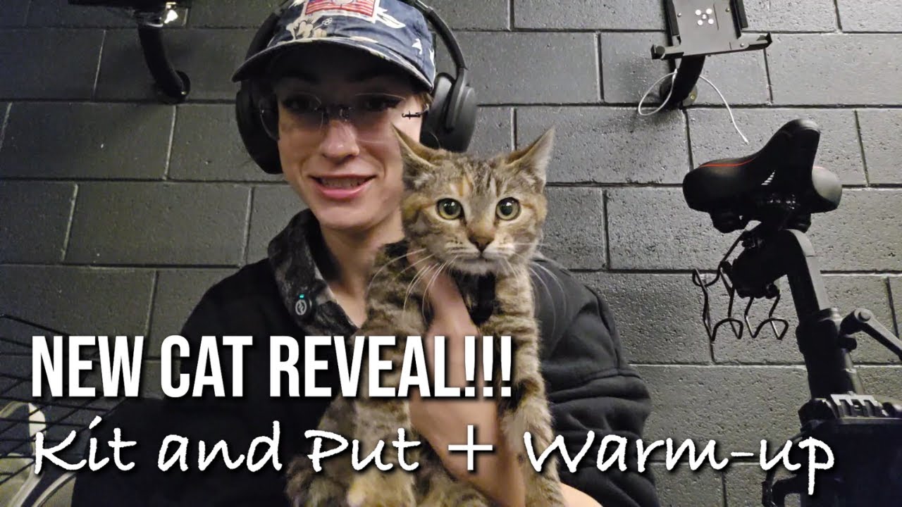 I GOT ANOTHER CAT!! (Warm-Up & Chat VOD) - YouTube