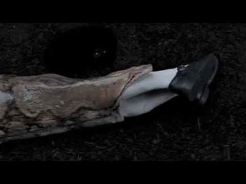 Snake eats person (M S03E13)