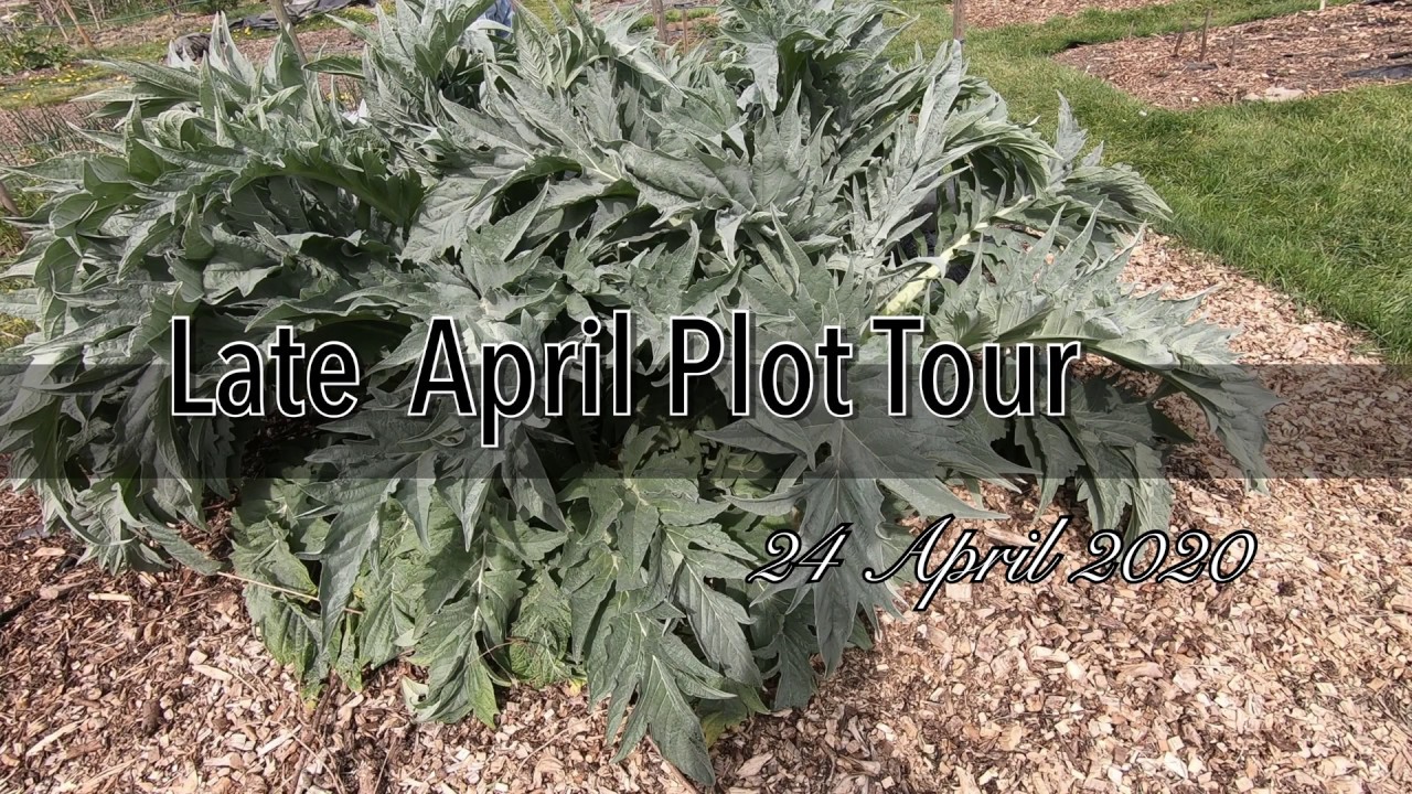 A Late April Plot Tour - YouTube