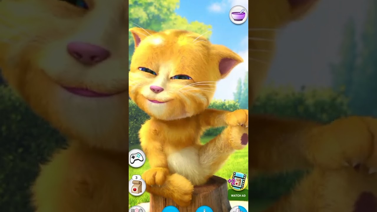 My Talking Ginger Is Farter 😂😂😂 Shorts Youtubeshorts New Trending Mytalkingginger Youtube