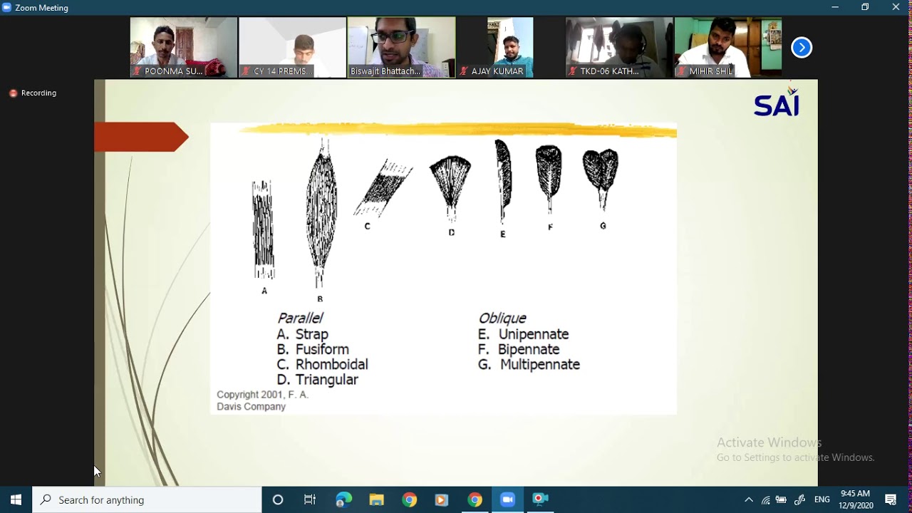 Bio Mechanics Muscle acting at the shoulder joint - YouTube