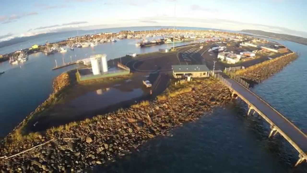 Harbor view - YouTube