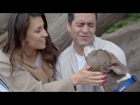 Make a Custom Dog Photo Book with Blurb