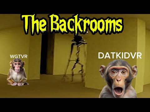 The Backrooms in vr?! || Monkey in the Backrooms || ft. WGTVR - YouTube
