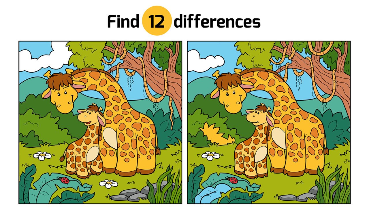 Test Your Eyes | Find 12 Differences - YouTube