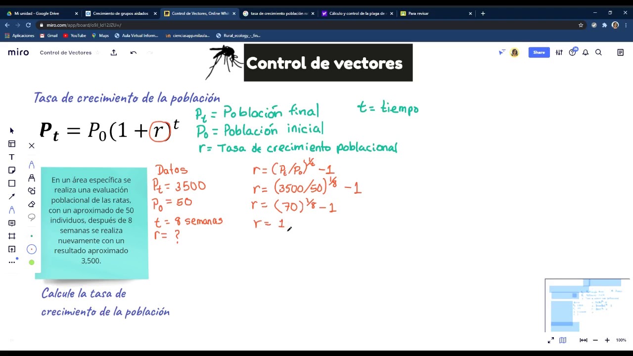 Tasa de crecimiento poblacional total - YouTube