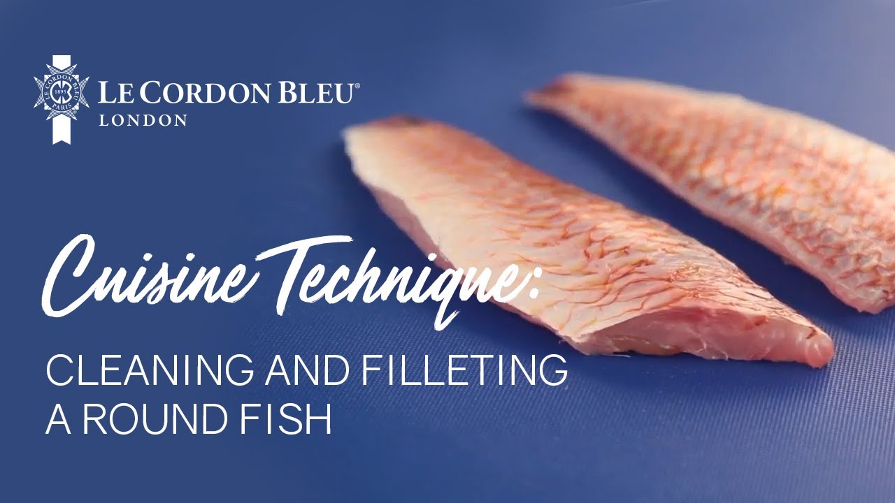 Cleaning and Filleting a Fish - How to Clean and Fillet a Round Fish ...