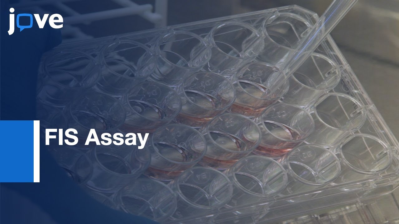 FIS Assay: Drug Response Assessment in CF | Protocol Preview - YouTube