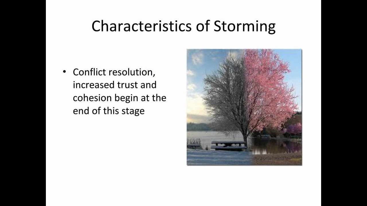 Stages of Team Building - YouTube