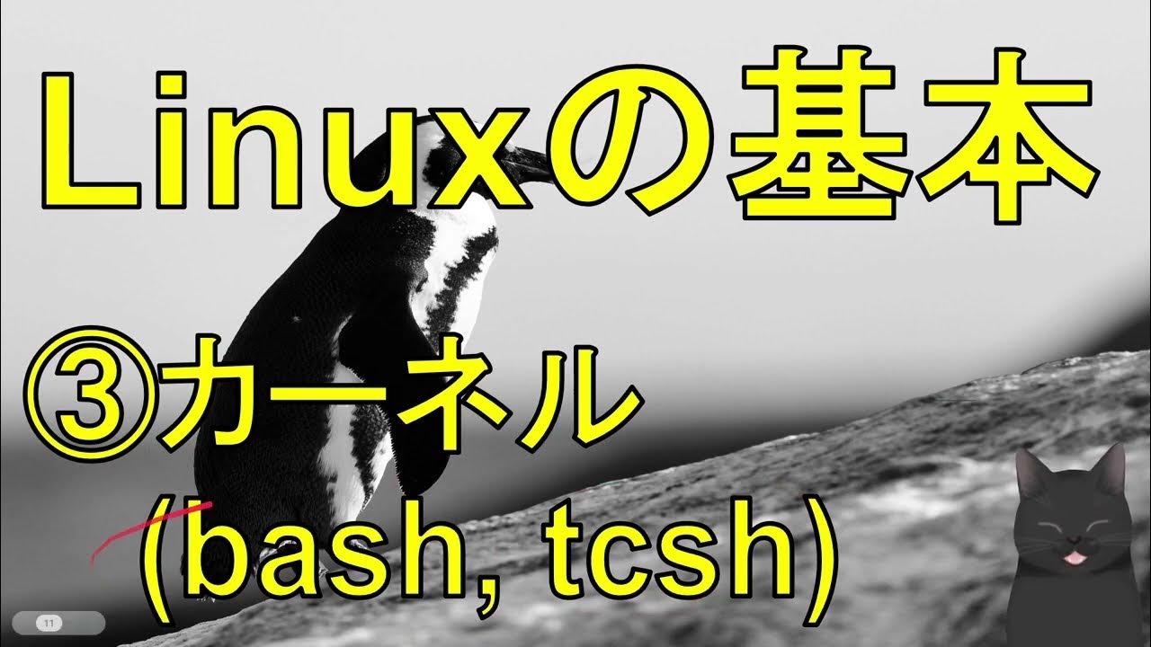 【丁寧に学ぶLinux入門】 ③カーネル・シェル（bash, tcsh） - YouTube