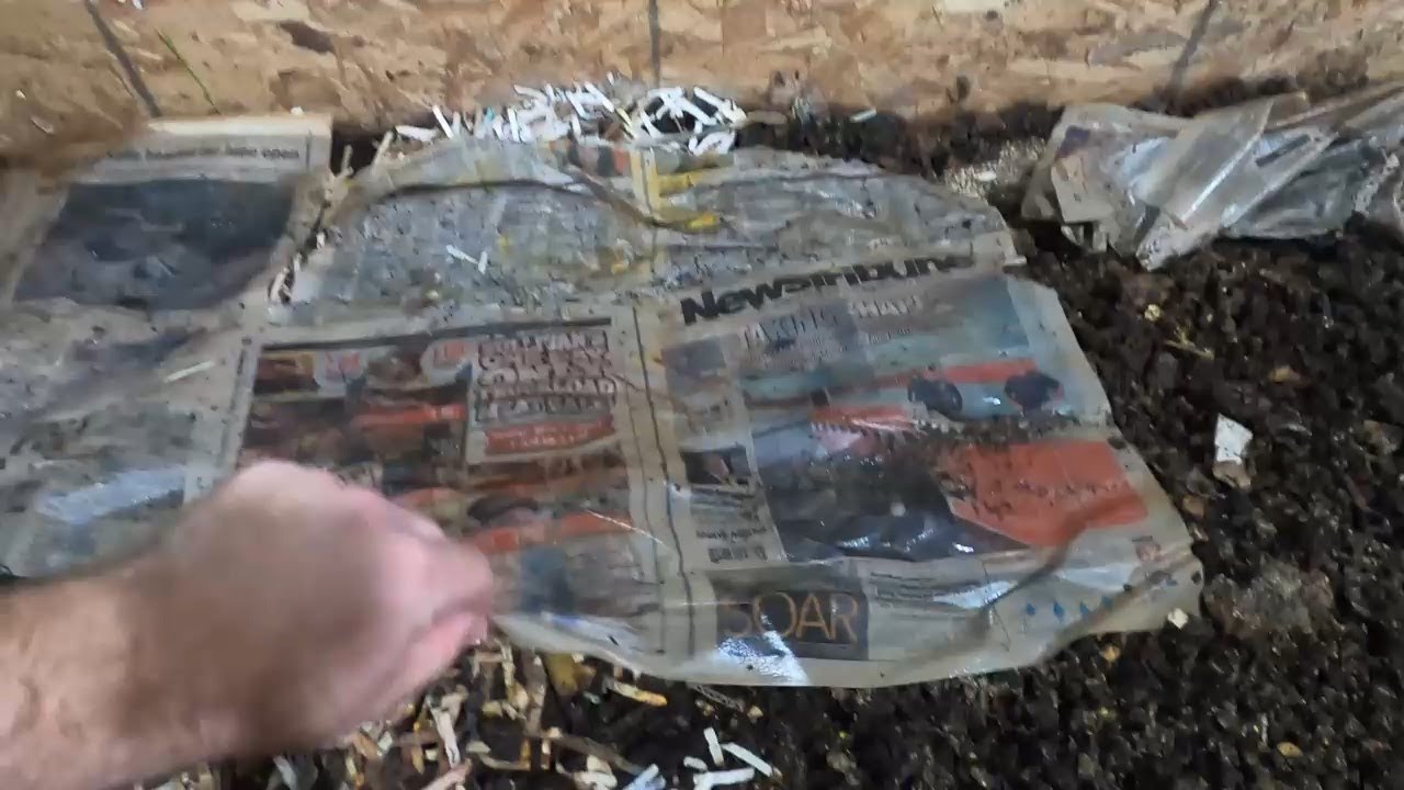 Episode 81: Wrap up on the Worm Chow Experiment in the Big CFT Worm Bin ...