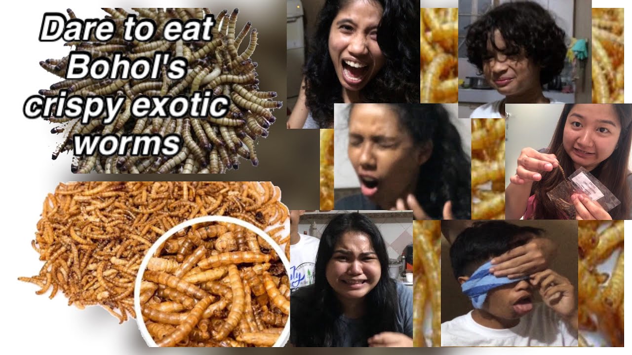 We tried to eat exotic Chichaworms, my cousins' reactions were ...