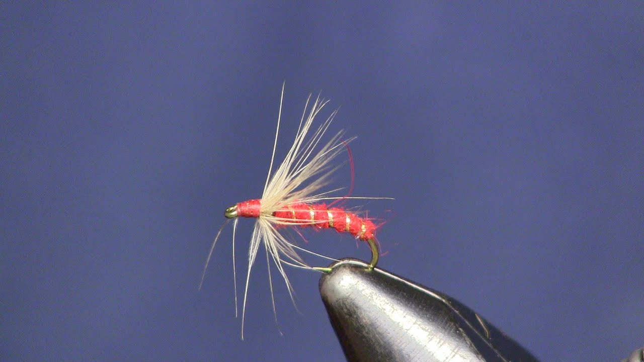 Gray Hackle Red, Beginners Fly Tying Series, Episode 6, Holsingers Fly ...
